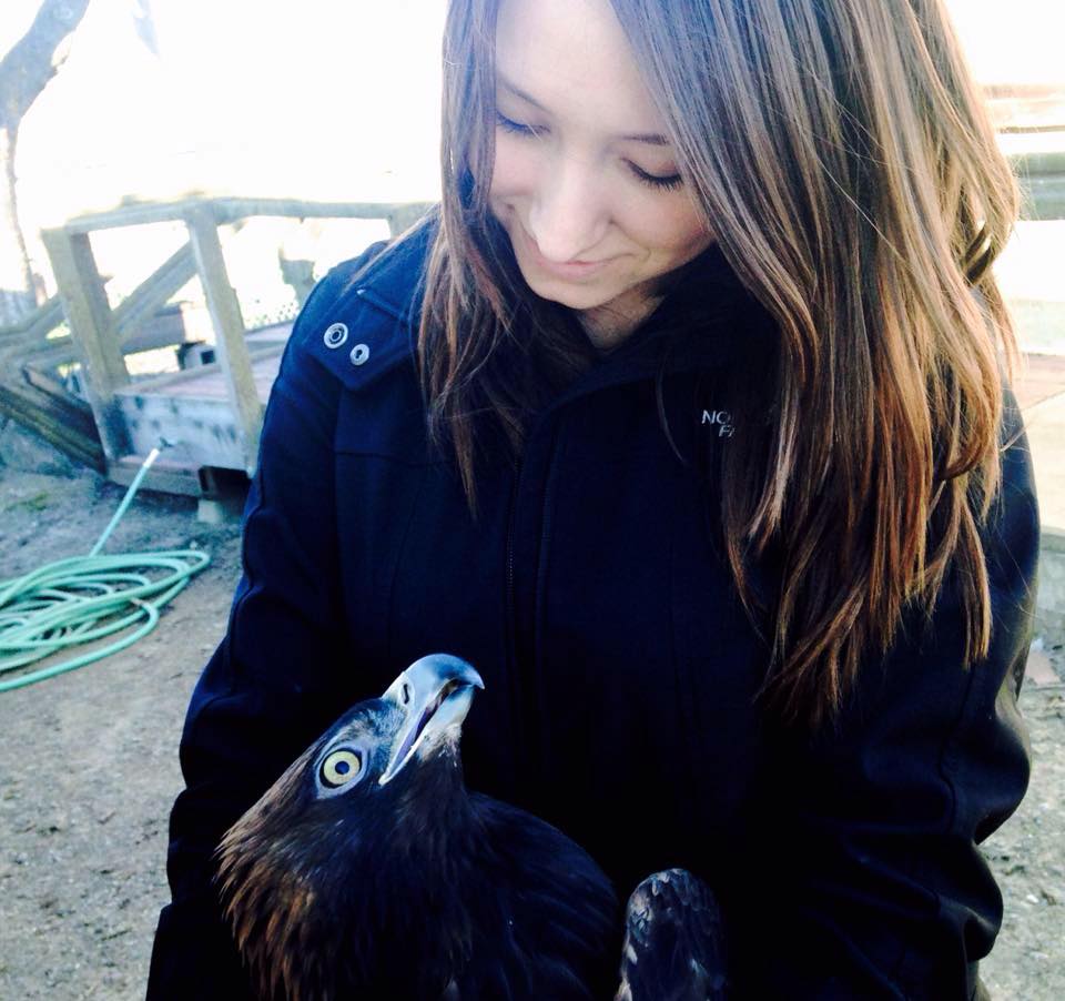 California Raptor Center volunteer interview on One Health Wildlife ...