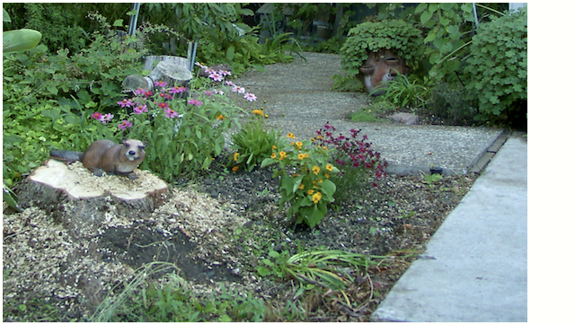 Davis Garden Show, June 17, 2021 -- Leave It To Beaver | KDRT 95.7FM Davis