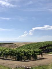 Nancy Flagg's blog | KDRT 95.7FM Davis